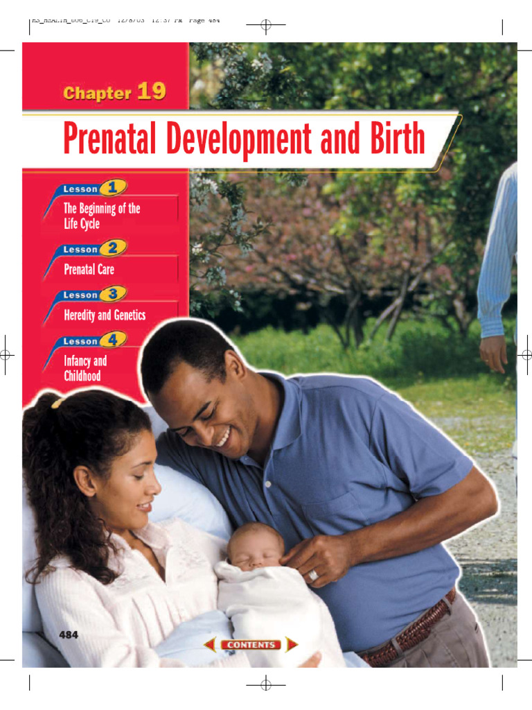 Chapter 19 Glencoe Health | PDF
