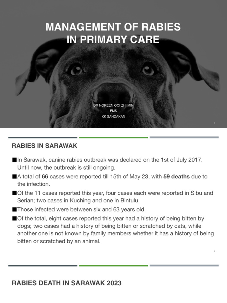 Rabies Management in Primary Care | PDF | Rabies | Diseases And Disorders