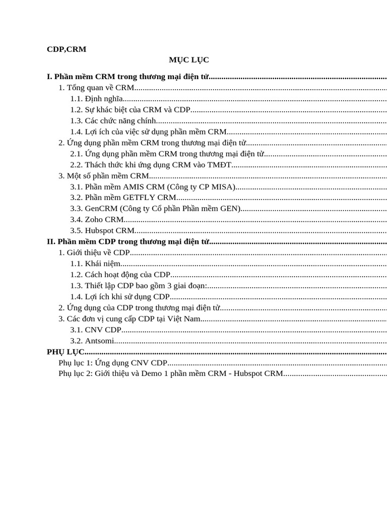 TMĐT __ Final word CRM CDP | PDF
