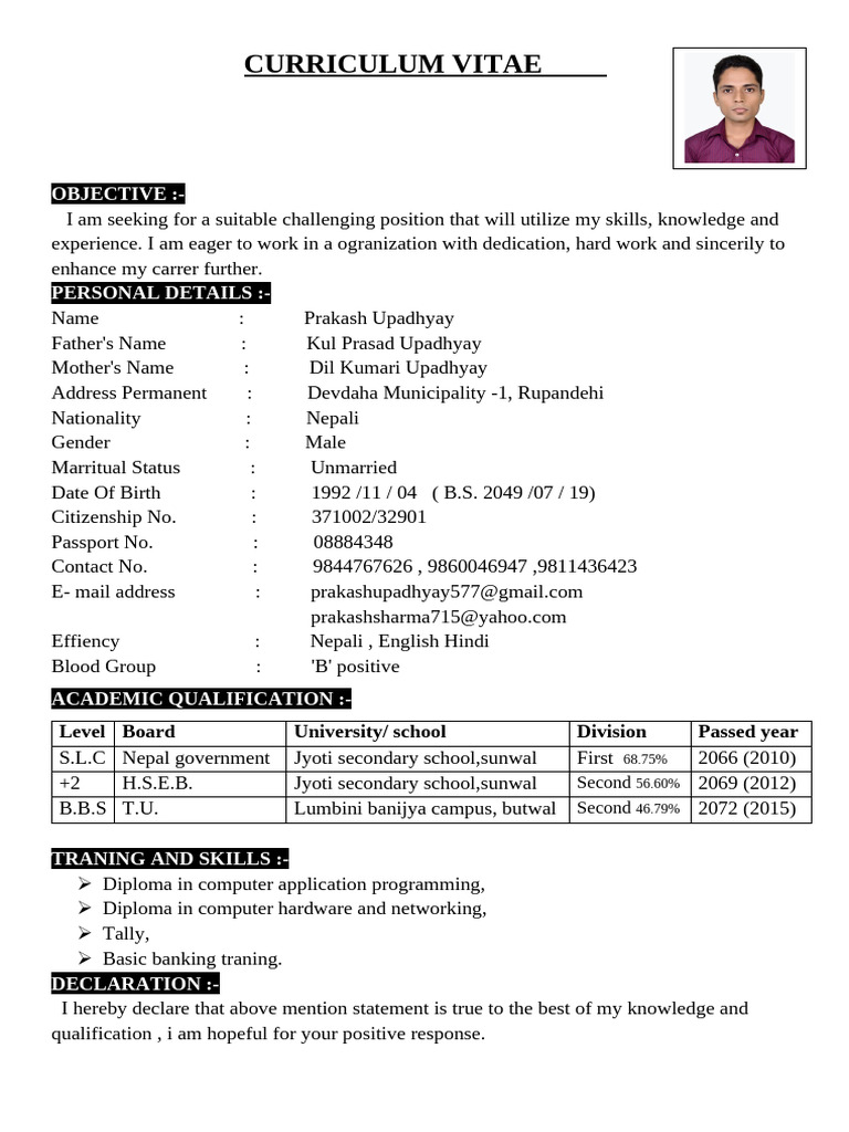CURRICULUM VITAE | PDF
