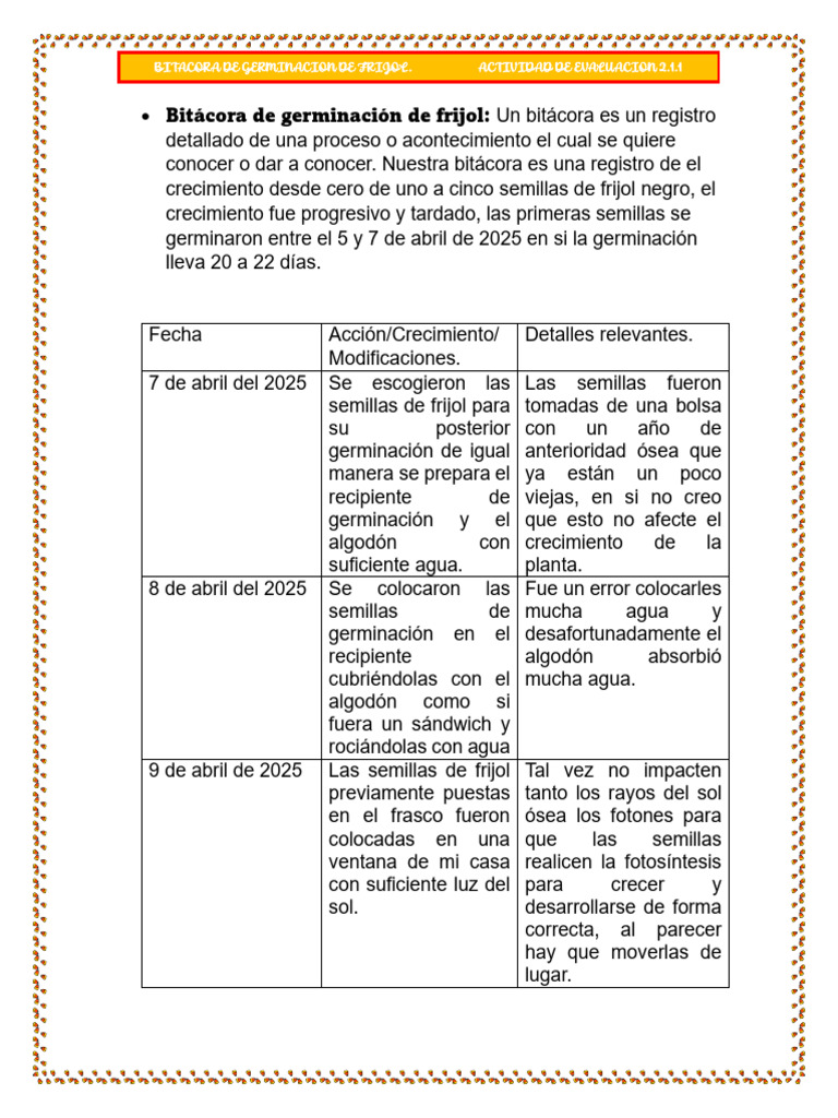 Bitácora de Germi de Frijol Iede 2.1 Act. Eval | PDF | Germinación | Hoja