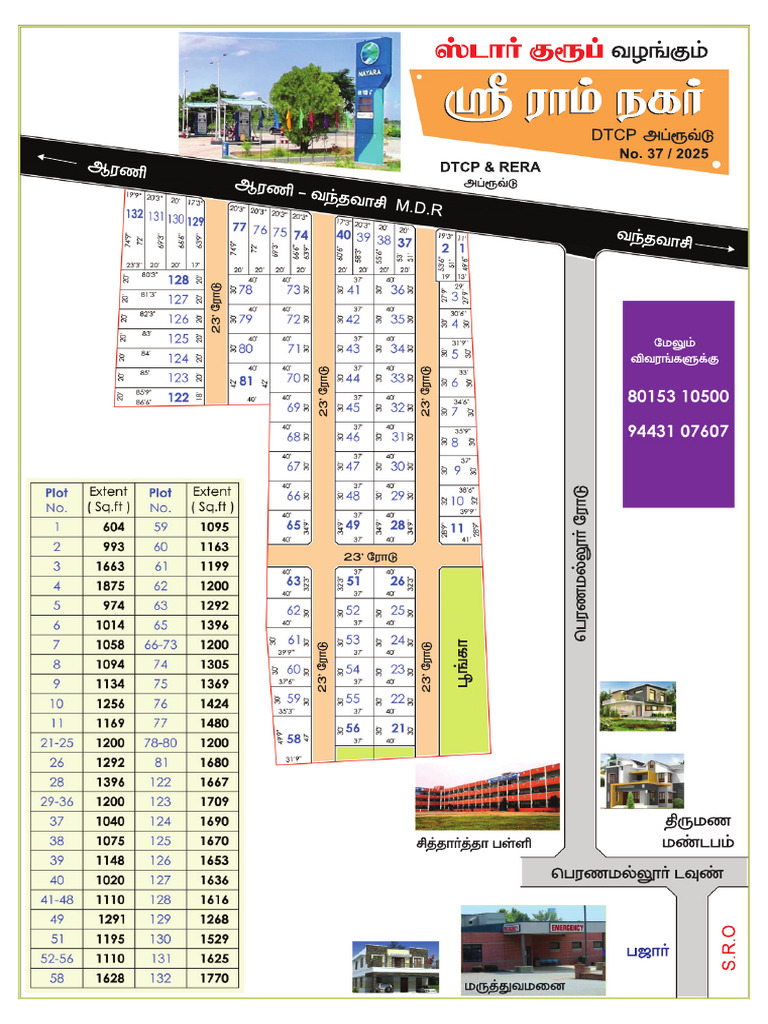 Star Group Layout | PDF