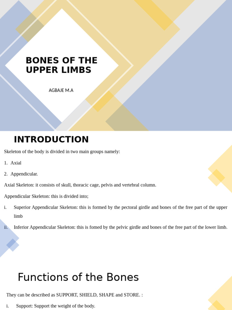 Bones of Upper Limb | PDF | Elbow | Hand