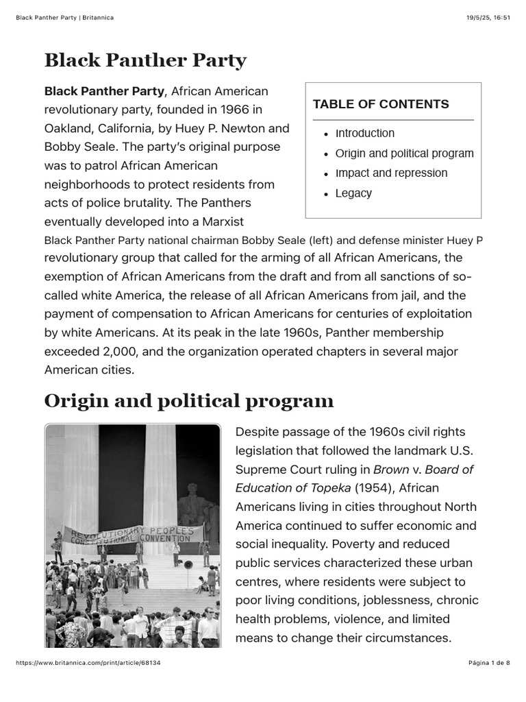 Black Panther Party Overview | PDF | Black Panther Party
