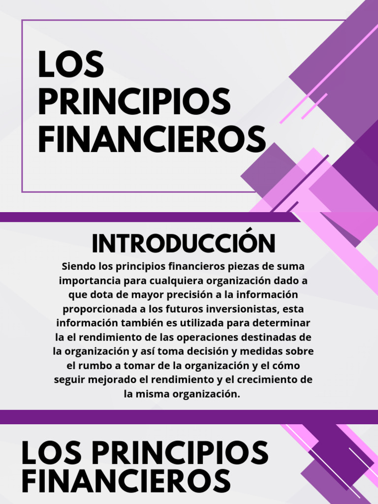 LOS PRINCIPIOS FINANCIEROS | PDF | Inversiones | Presupuesto