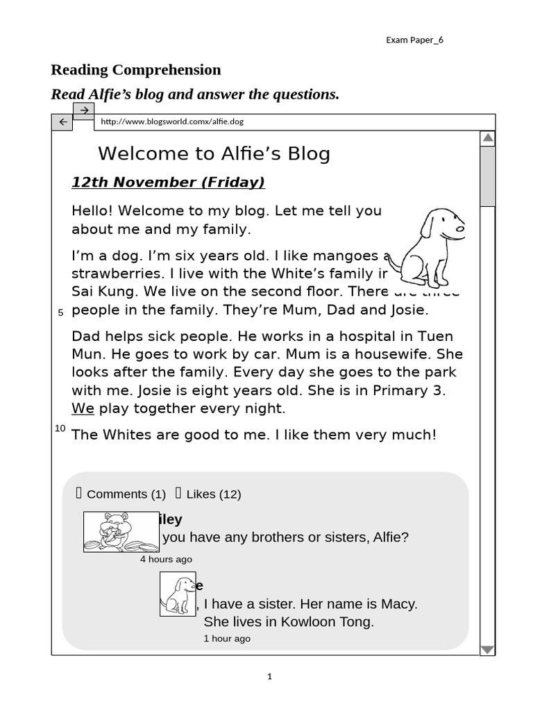 Longman Elect 2A - Exam Paper 6 | PDF