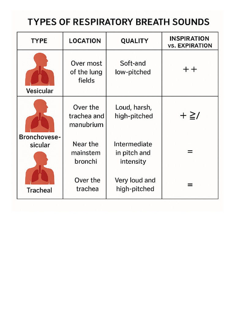 Types of Respiratory Breath Sounds | PDF