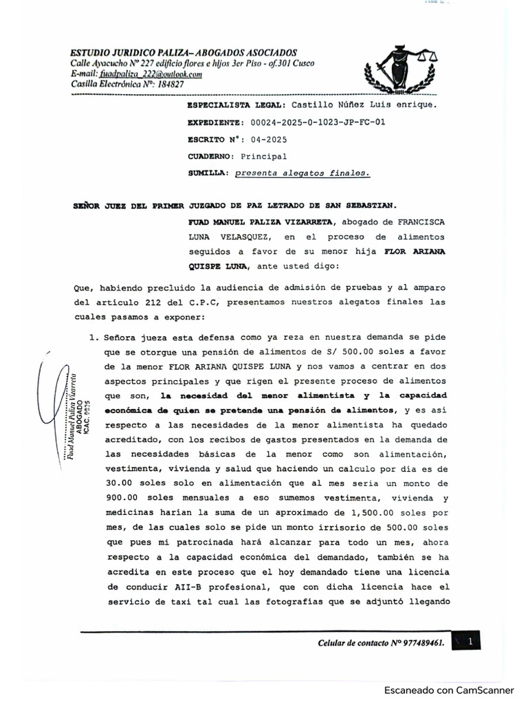 Presenta Alegatos Sra. Francisca | PDF