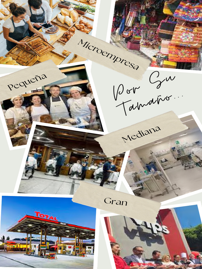 Collague Admin. - Compressed | PDF