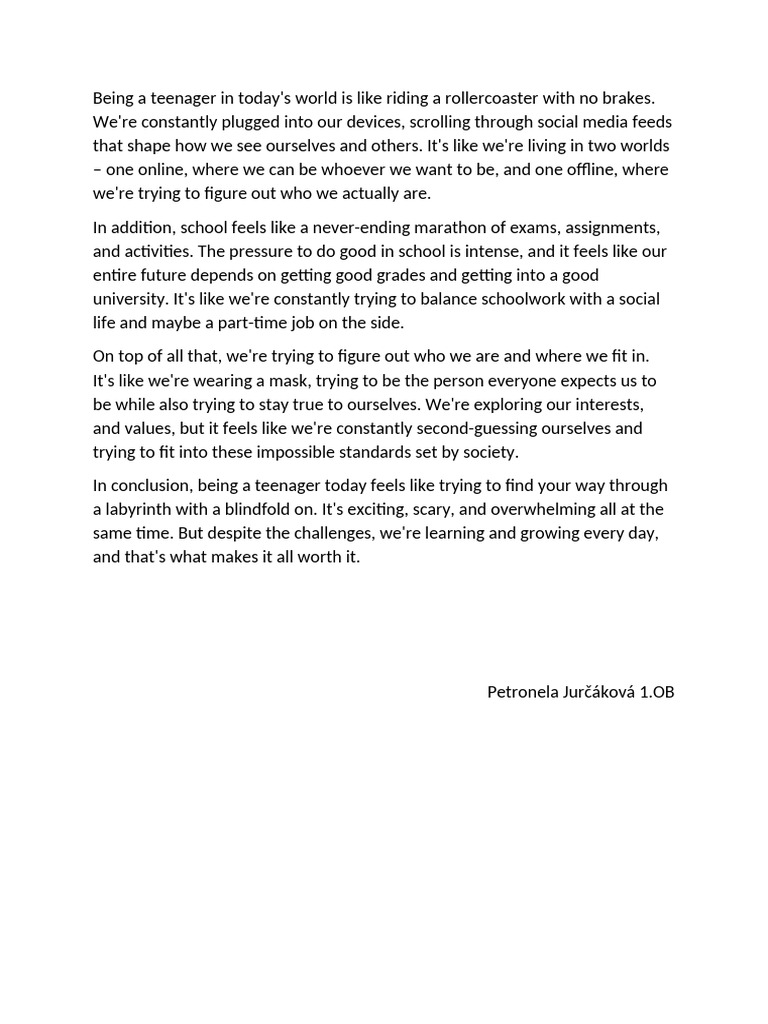 What It Is Like To Be A Teenager | PDF