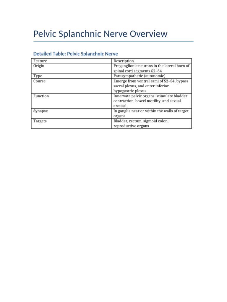 Only Pelvic Splanchnic Nerve Table | PDF