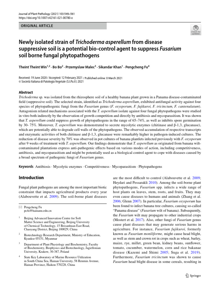 Newly Isolated Strain of Trichoderma Asperellum From Disease | PDF | Fungus | Reverse ...