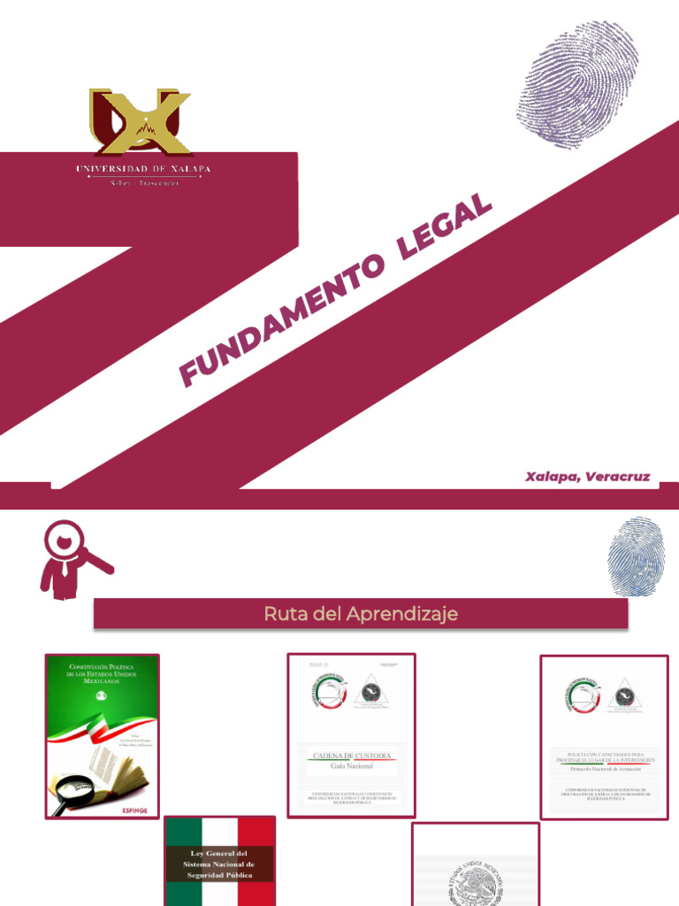 Fundamento Legal MCF | PDF | Servicio Civil | Ciencia forense