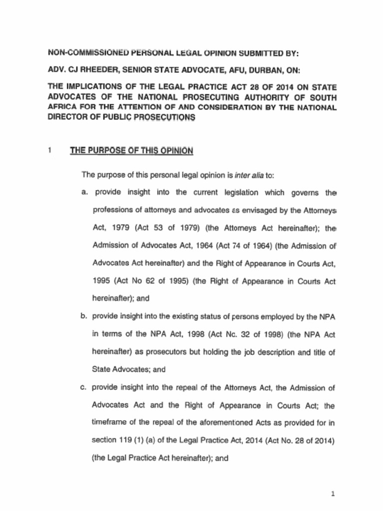 Legal-Opinion Example 2 | PDF