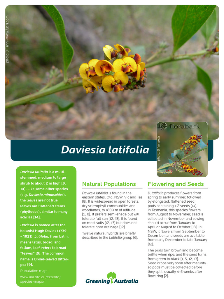 FACT-SHEET Daviesia Latifolia | PDF | Seed | Legume