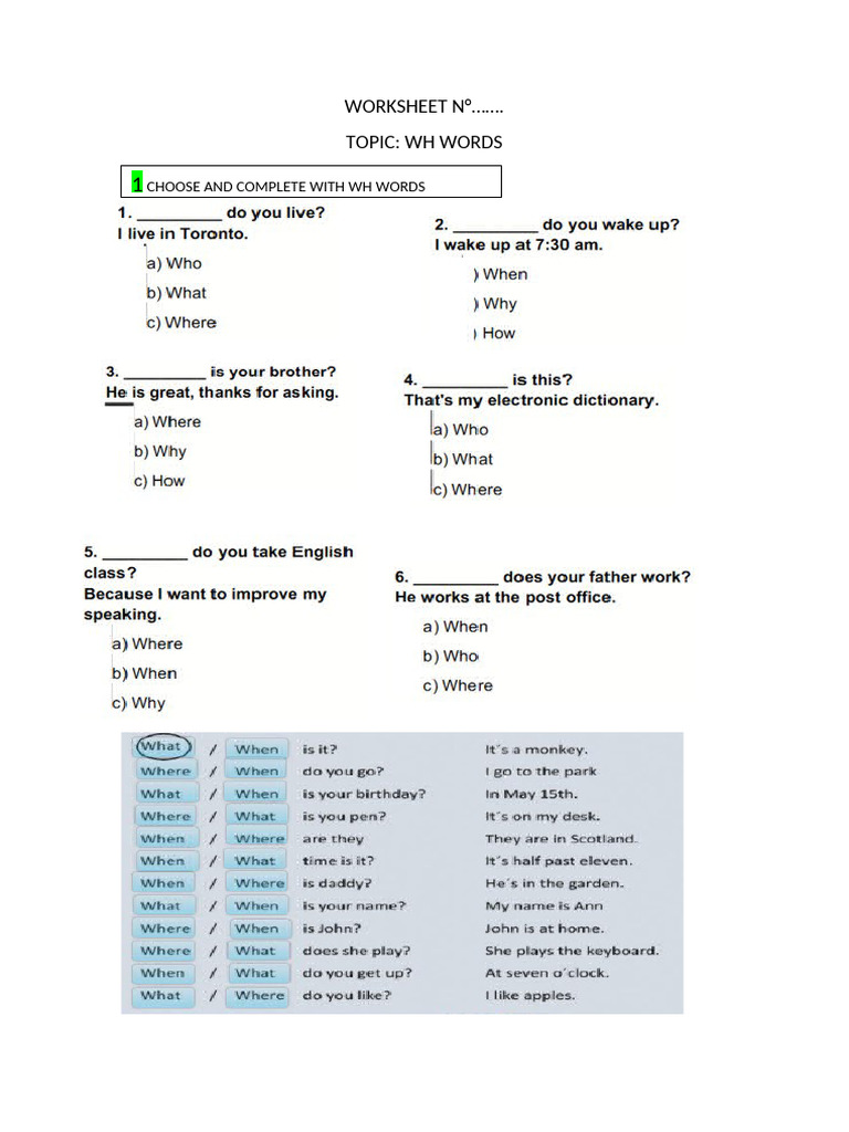 WH Questions Simple Present | PDF