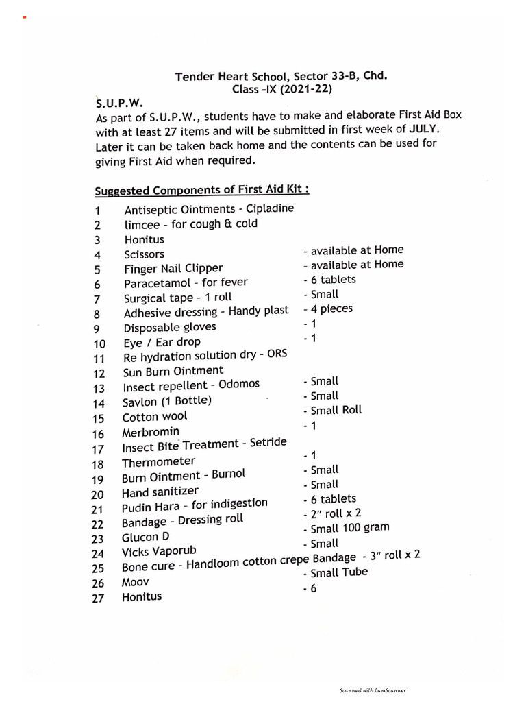 SUPW Project Class 9th (31.5.21) | PDF