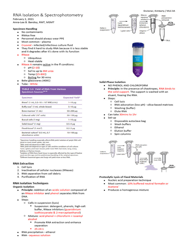 5 RNA Isolation & Spectrophotometry | PDF | Life Sciences | Biomolecules