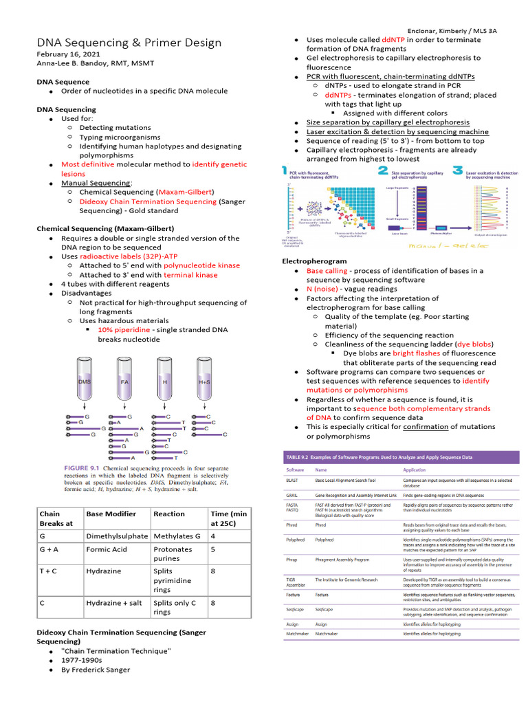 7 DNA Sequencing & Primer Design | PDF | Dna Sequencing | Primer ...