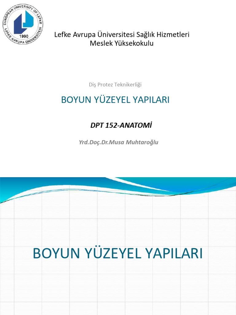 3 DPT 152 Baş Boyun Anatomi̇si̇ 2. Ders | PDF