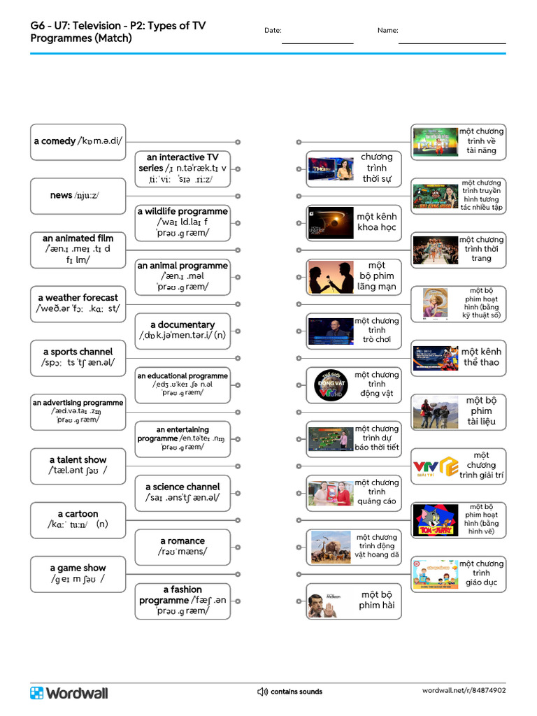 g6 U7 Television p2 Types of TV Programmes Match Match Up Line Drawing | PDF