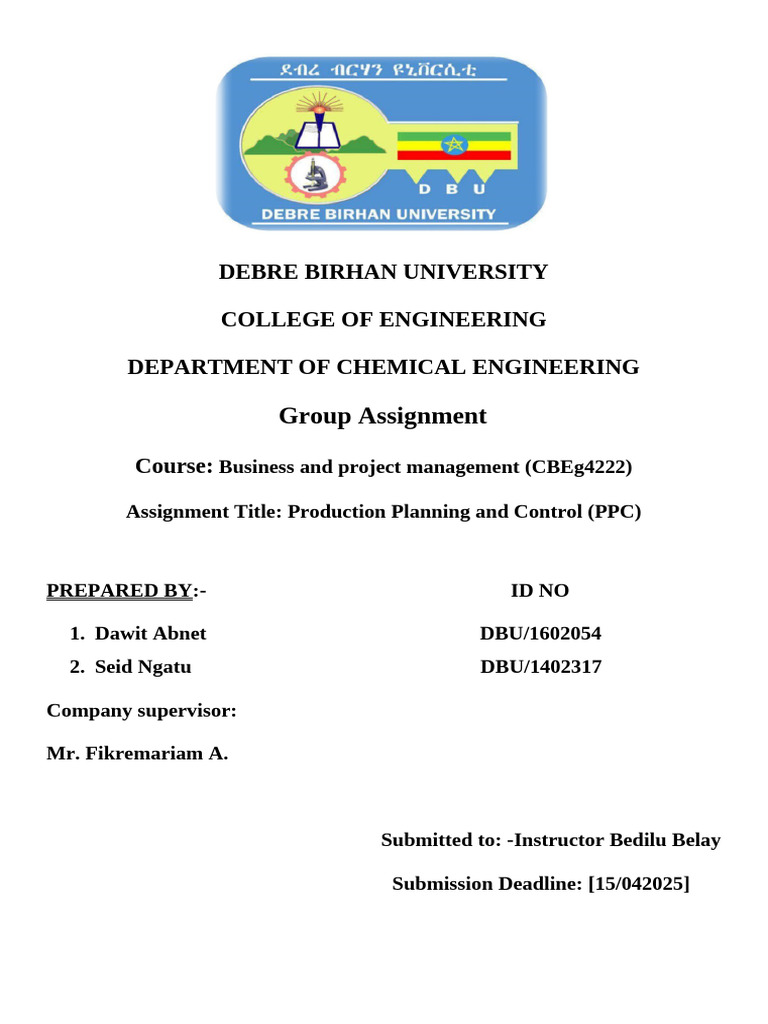 Dawit Project Assignment | PDF | Forecasting | Brewing