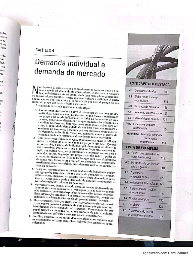 Cap 4 Microeconomia - Robert Pindyck | PDF