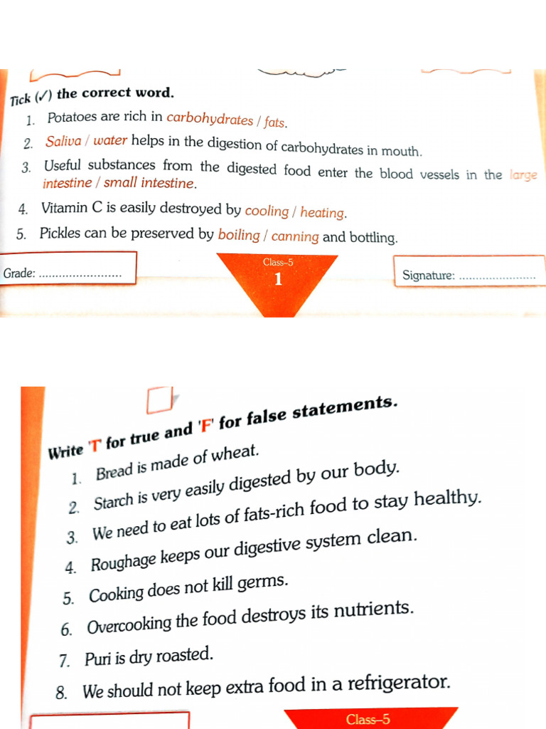 Class 5 Nilay Science Worksheet | PDF