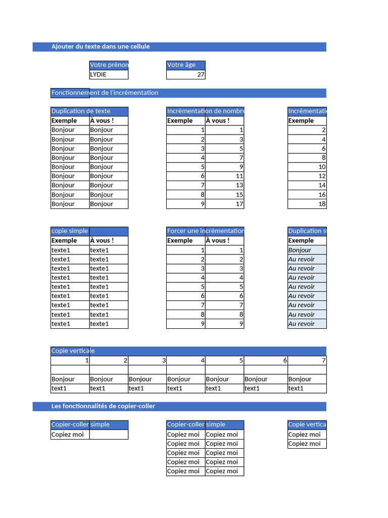 Incrémentation et duplication de texte | PDF | Logiciel