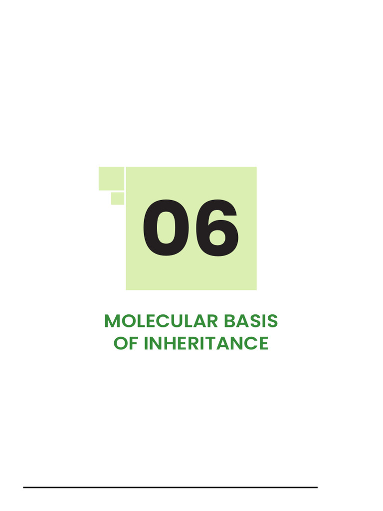 Molecular Basis of Inheritance | PDF | Dna | Rna