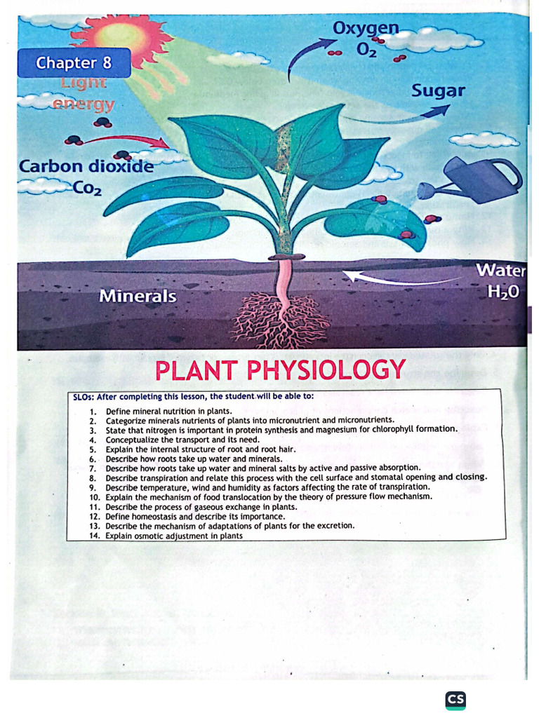 Chapter 8 Plant physiology | PDF