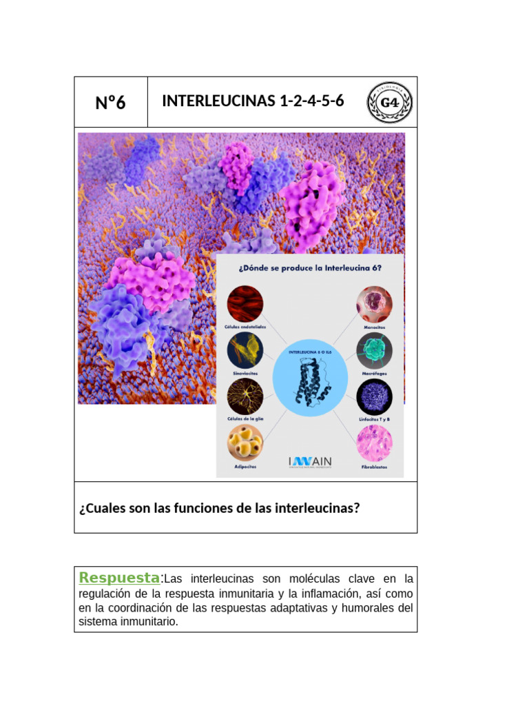 Funciones de las Interleucinas 1-6 | PDF