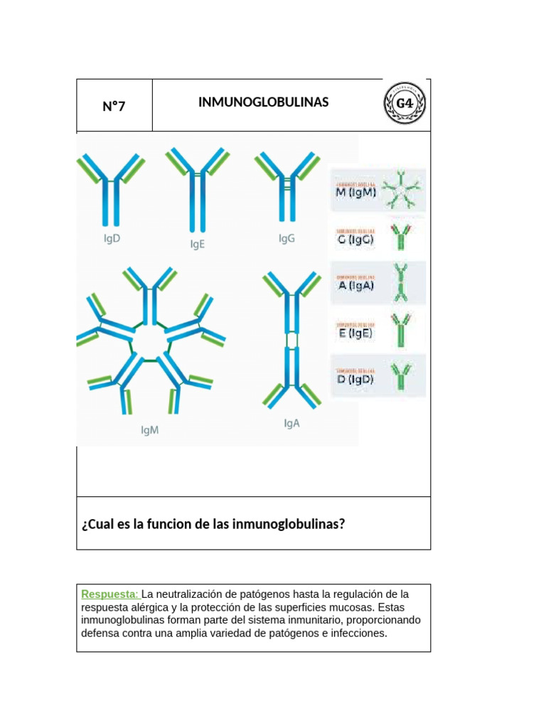 Flashcard Inmunoglobulinas Pdf