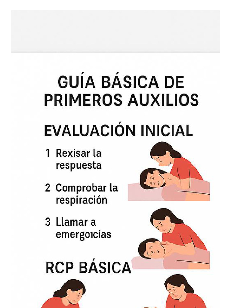 Guía Básica Primeros Auxilios Ilustrada | PDF