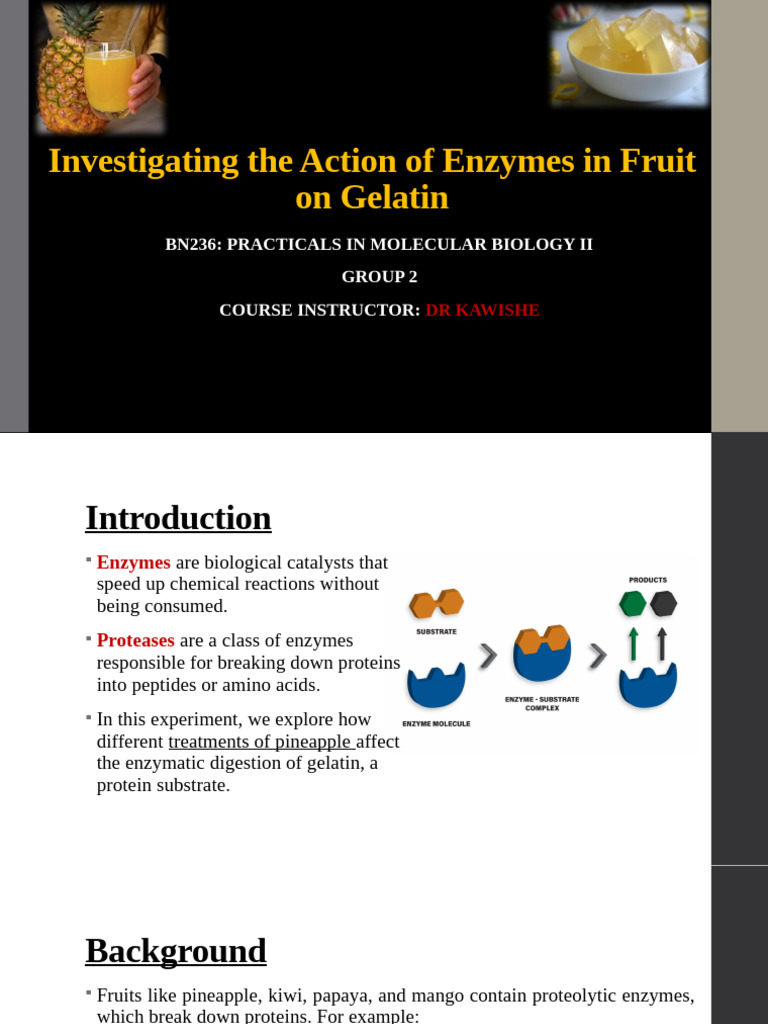 Enzyme Gelatin Presentation | PDF | Enzyme | Proteolysis