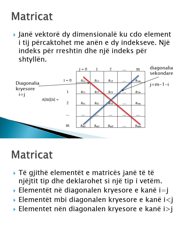 Leksioni5 Matricat | PDF