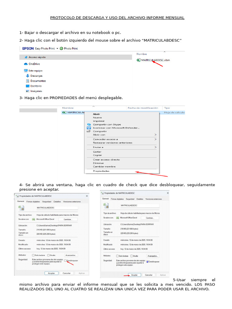 Protocolo de Descarga y Uso Del Archivo Informe Mensual | PDF