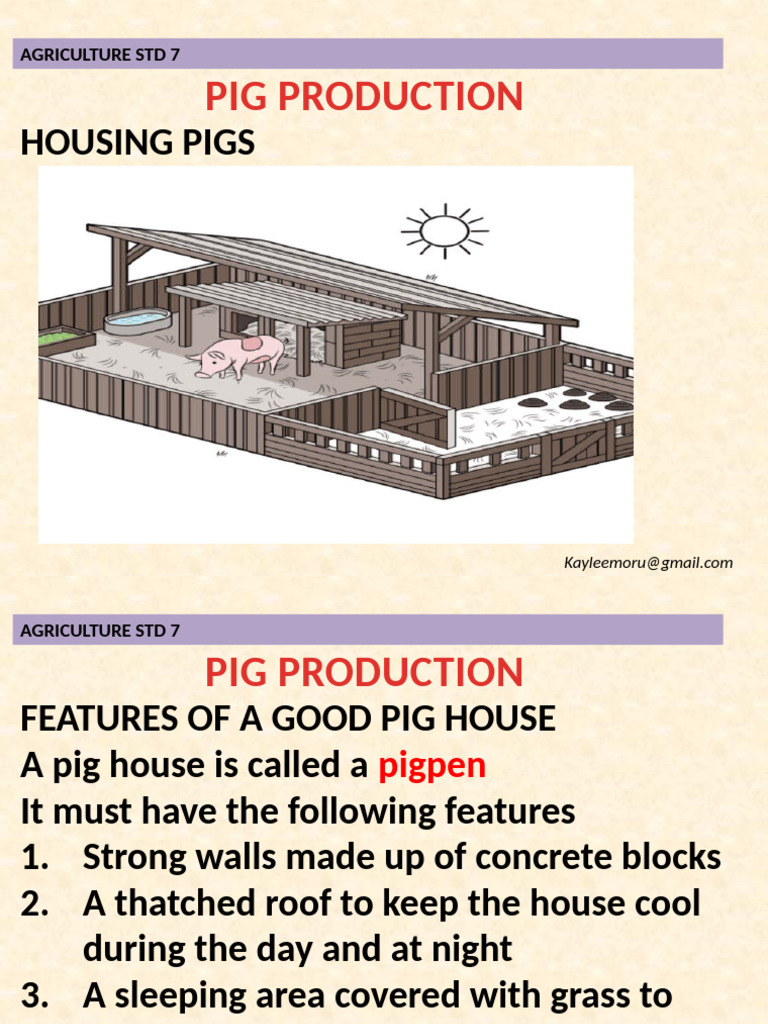 Pig Production | PDF