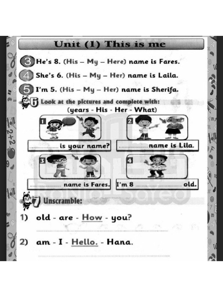 Work Sheet For Primary 1 Connect Plus Unit1 | PDF