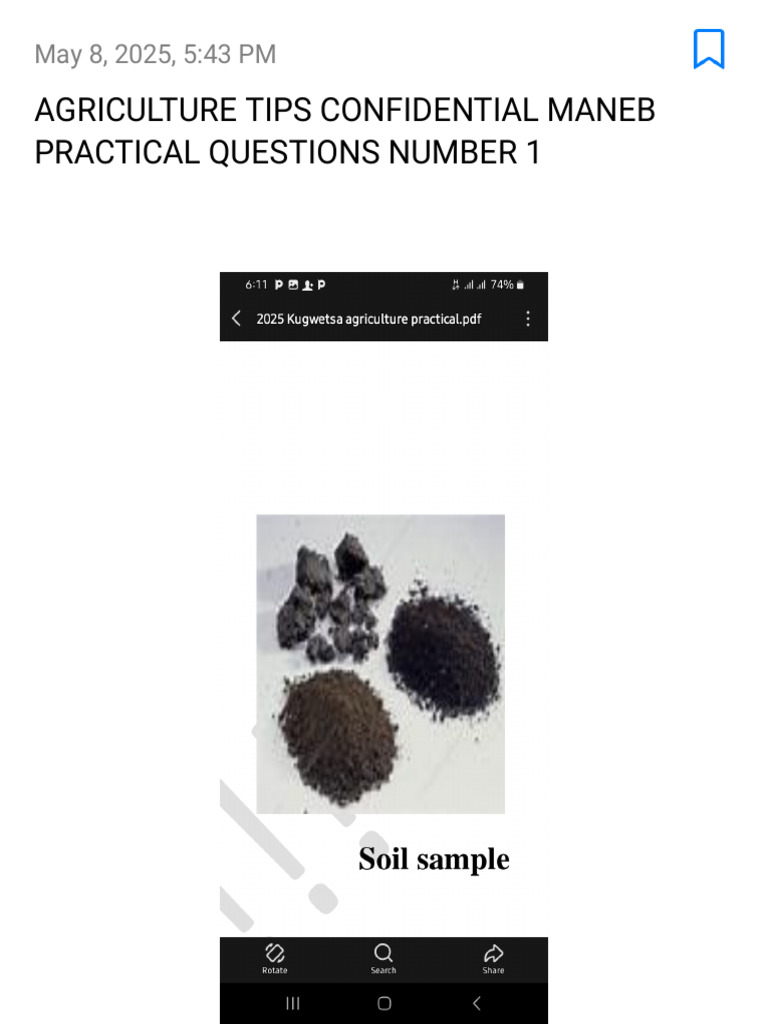 Tips Agri 2025 Examiner | PDF