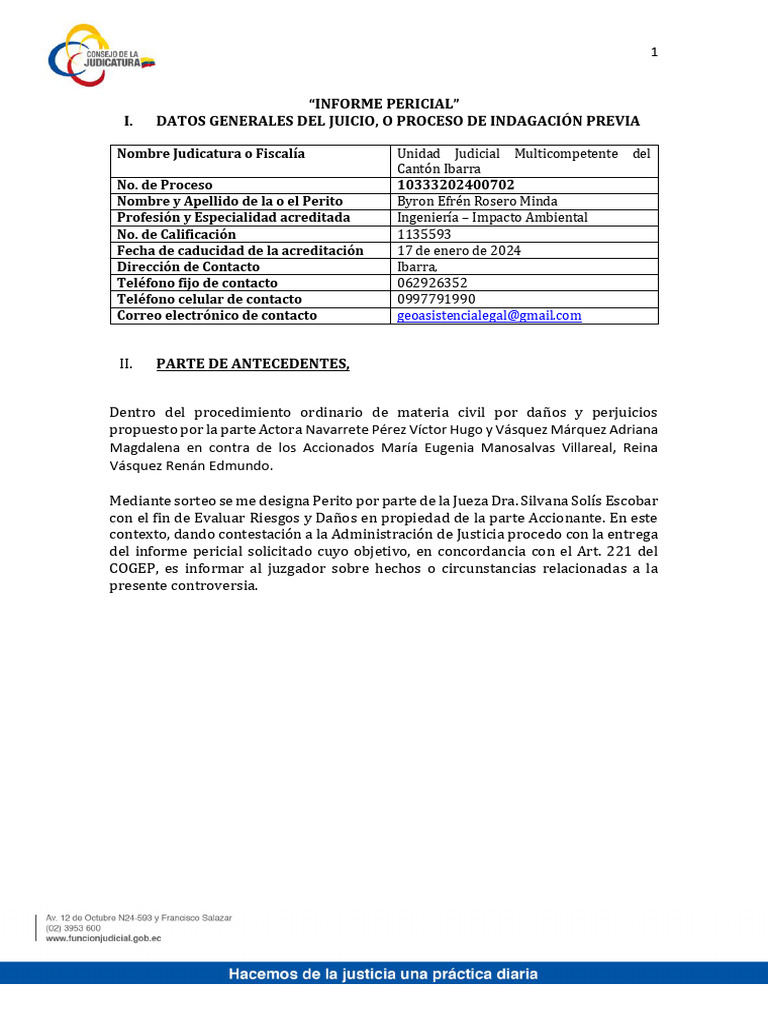 Formato de Informe Pericial - Cas | PDF | Riesgo | Suelo