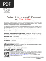 Plataforma RUAP para Contadores Públicos | PDF | Contador | Internet