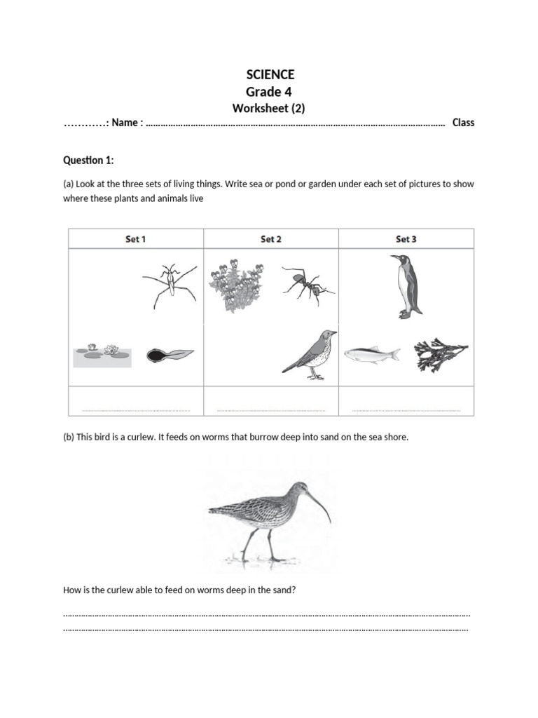 Grade 4 Science Worksheet on Habitats | PDF