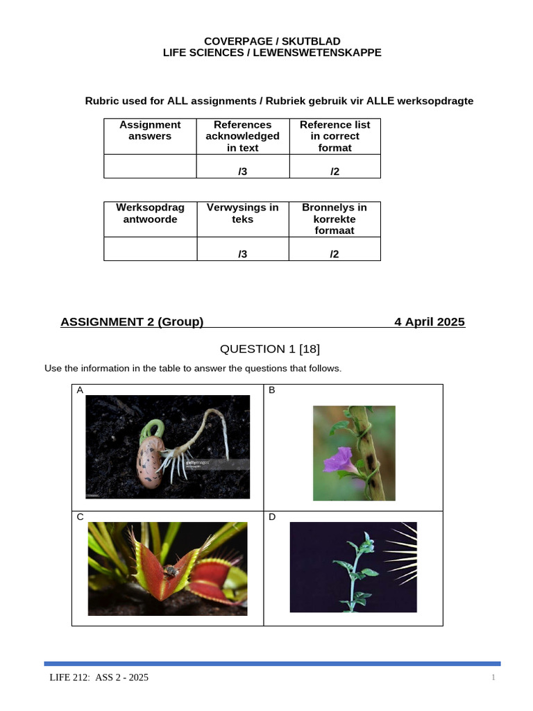 Assignment - Opdrag - LIFE212 | PDF | Plant Hormone | Plant Physiology