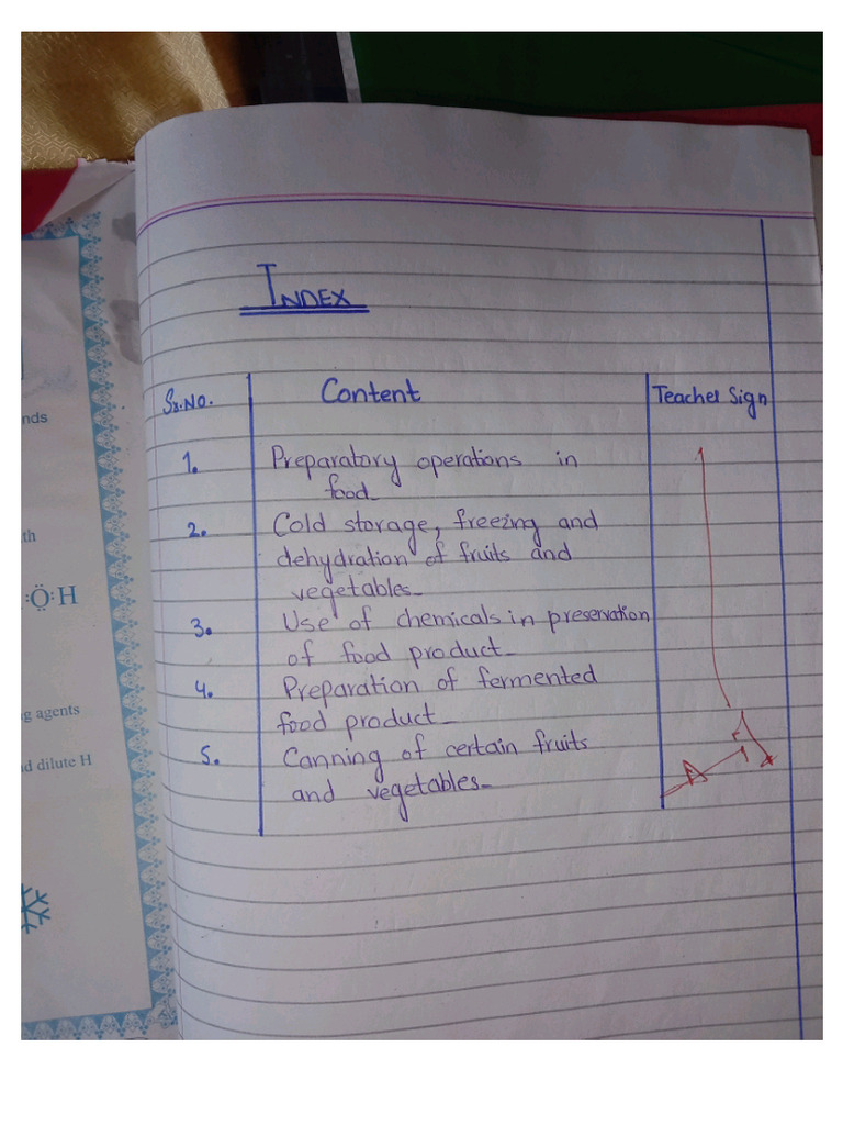 Food Processing Practical | PDF
