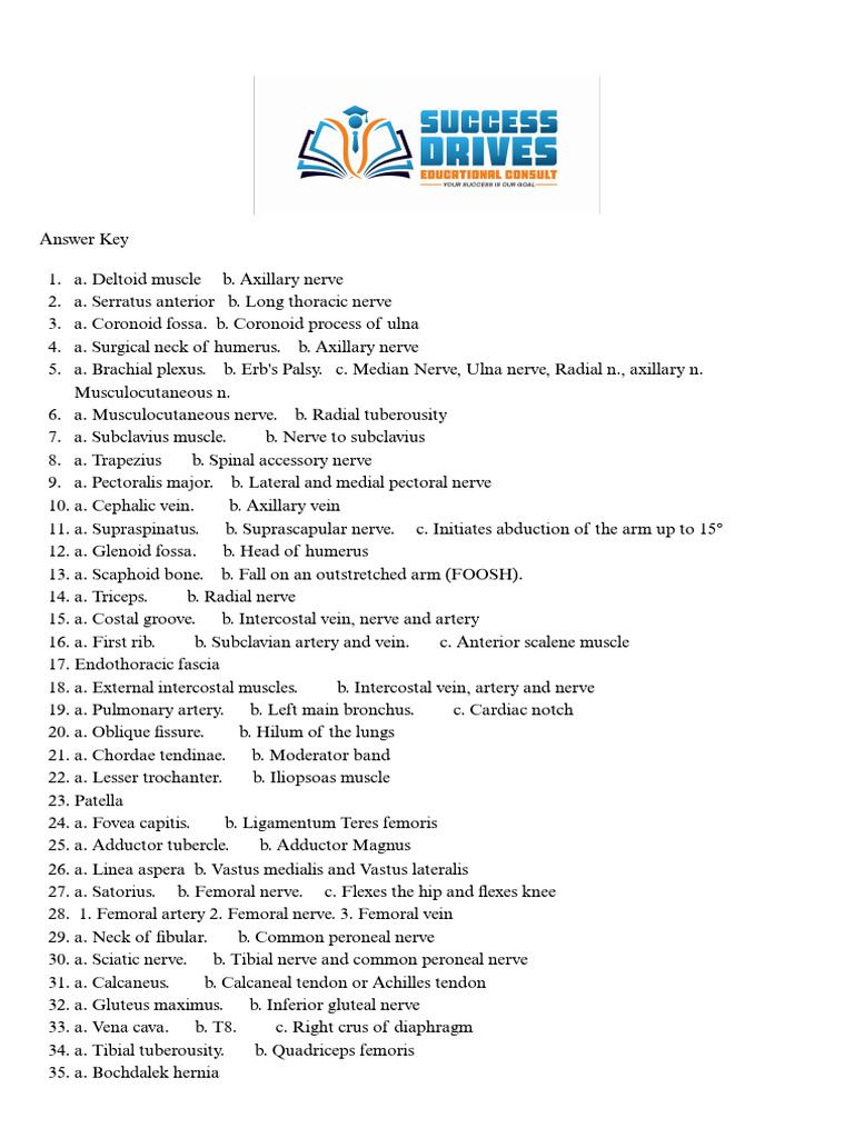 Success Drive Answer Key To Steeplechase Mock PDF | PDF | Arm | Musculoskeletal System