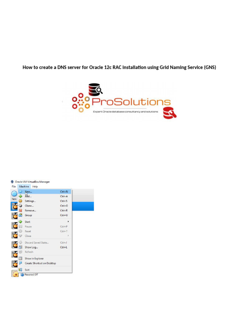 RAC DNS and DHCP Server Setup | PDF | Internet Architecture | Internet Standards