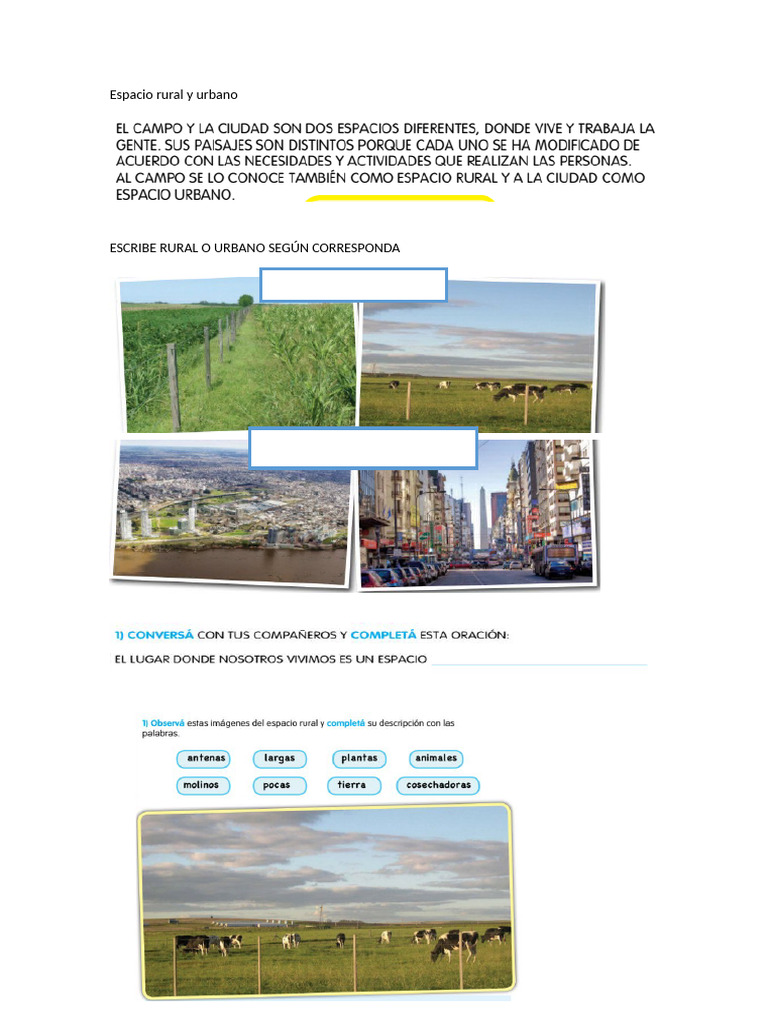 Campo y Ciudad Guia de Actividades | PDF
