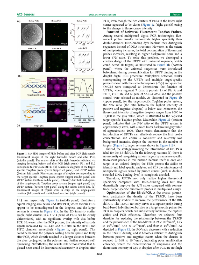 Acs Sensors: Function of Universal Fluorescent Taqman Probes | PDF ...