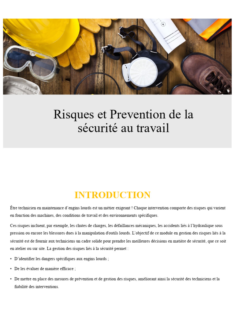 Module 2 Prevention Des Risques Securitè | PDF | Risque | Gestion des risques